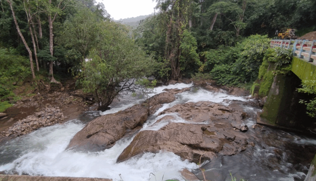 Narangathode Waterfalls: The Untouched Waterfall Gem of Kozhikode ...